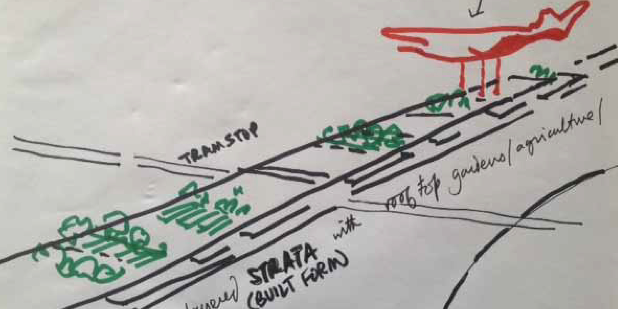Yenikapi-Istanbul-17 - Camlins Landscape Architects