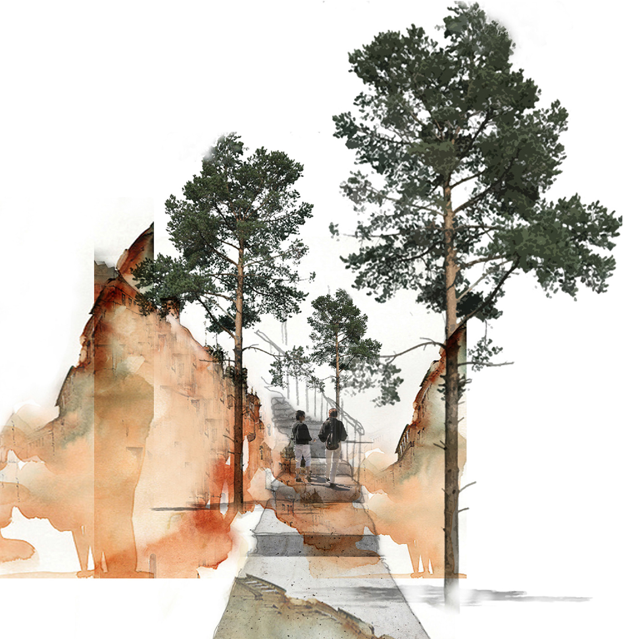 Shell-Cove-4 - Camlins Landscape Architects