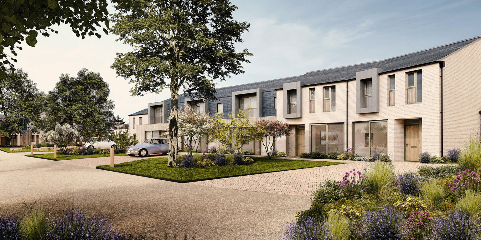 Shell-Cove-9 - Camlins Landscape Architects