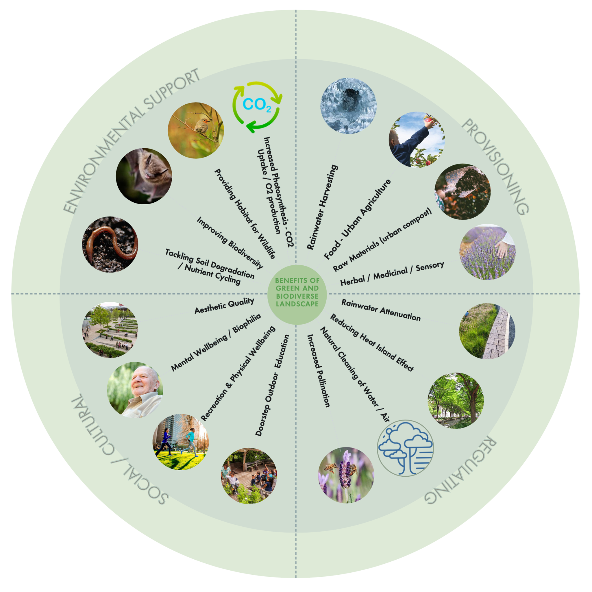 VCCG-2 - Camlins Landscape Architects